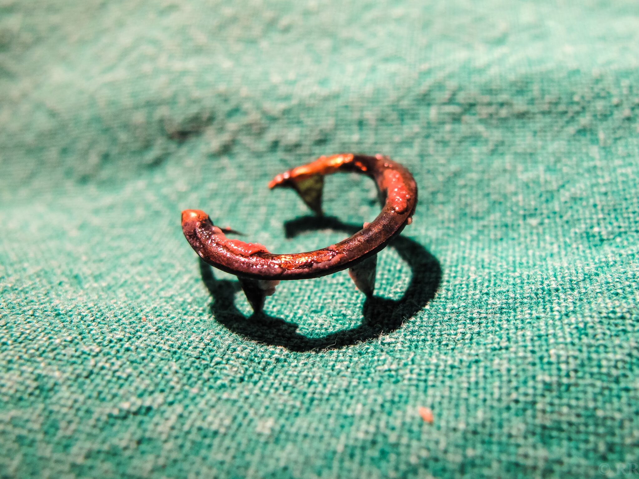 Plötzlich verändertes Fressverhalten? Mundhöhle kontrollieren! - Ralph ...